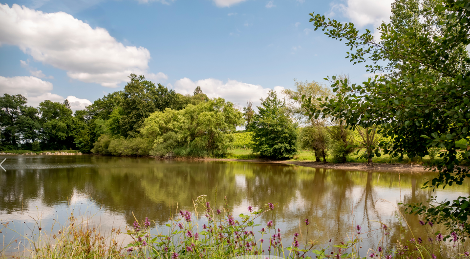 High Environmental Value Agriculture at Château Millet – DrinkFellows